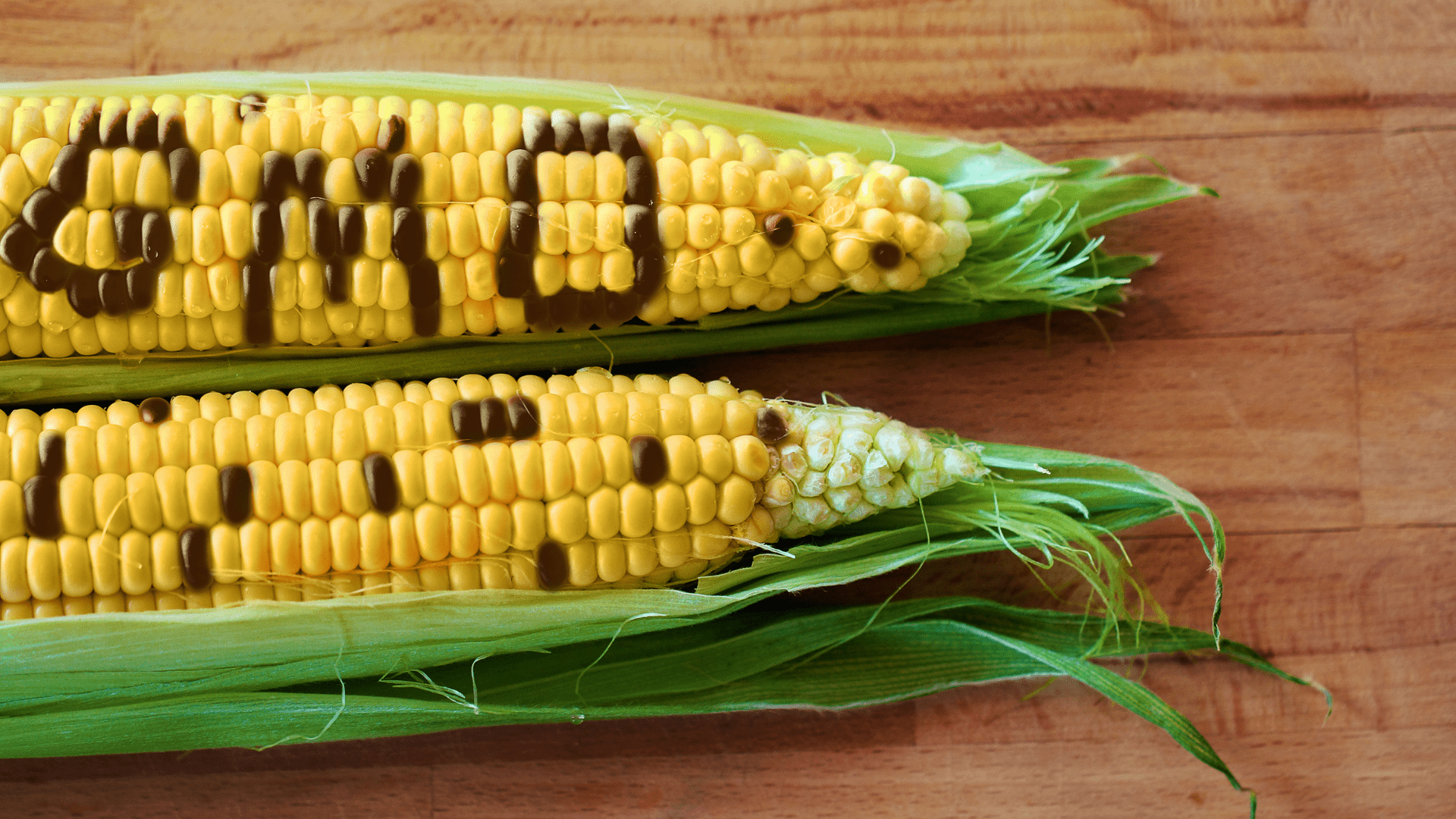 Understanding NGT: Exploring the Consequences | AGRIWELL organic ...