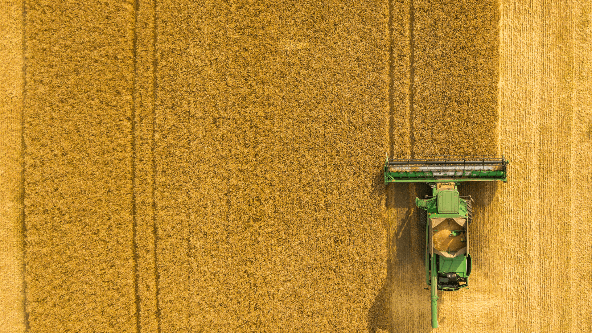 Home page | AGRIWELL organic farming