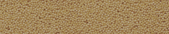 Hulled millet | AGRIWELL organic ingredients